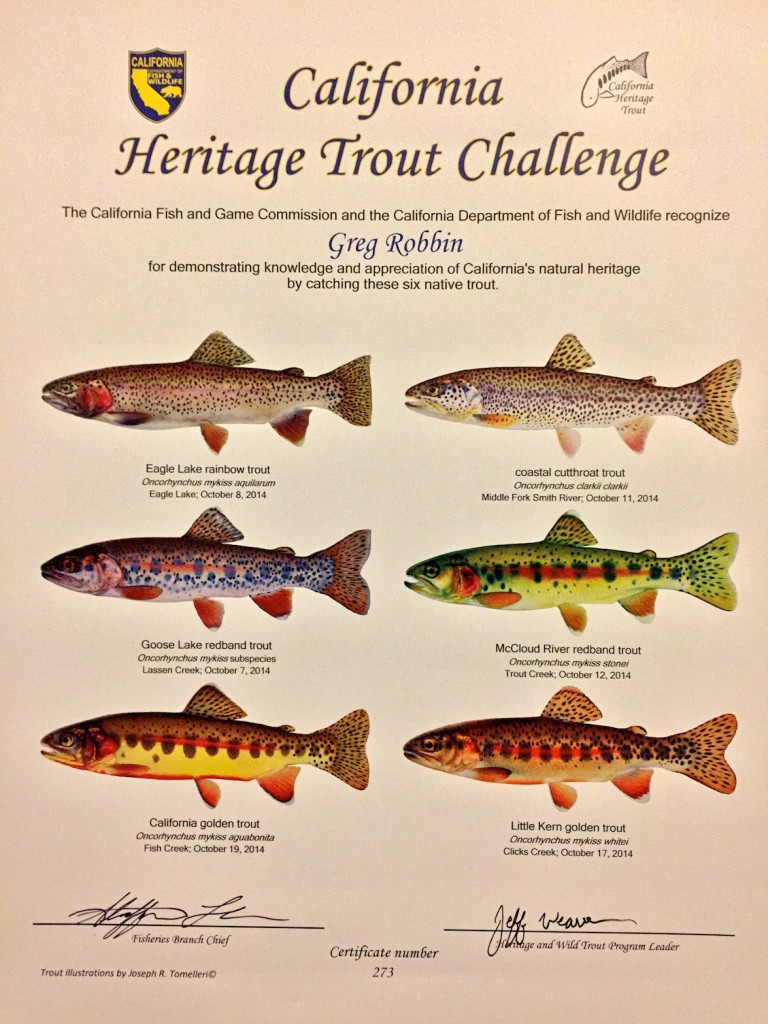 The Water’s Edge – snapshots from sea and stream